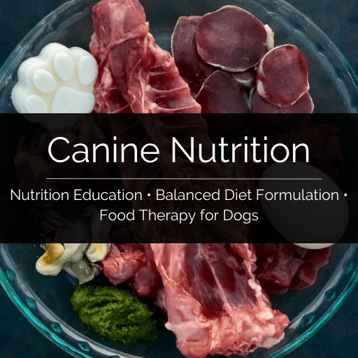 Raw Feeding & Canine Nutrition Workshop for Puppy Owners